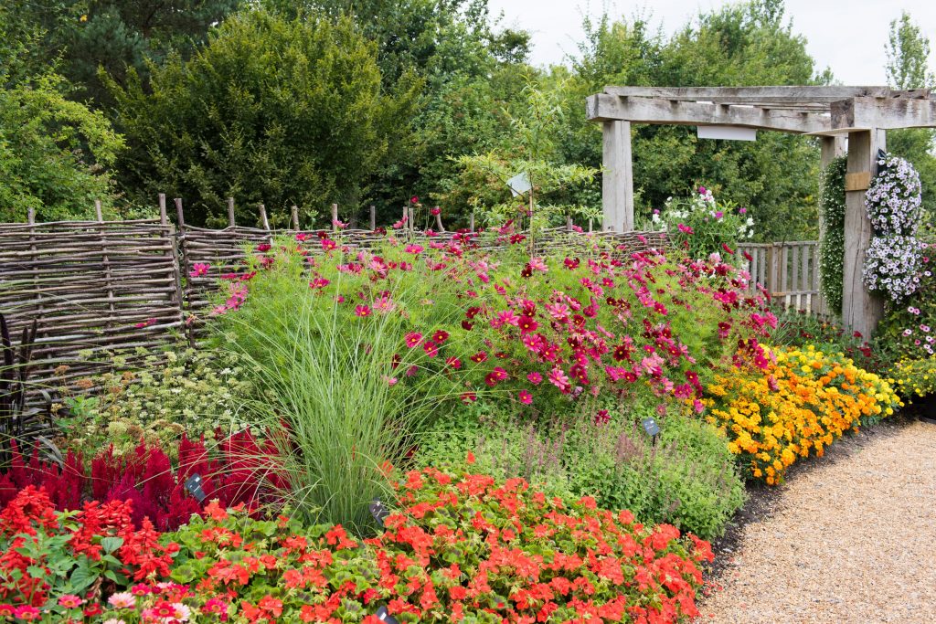 7 ways to create a stunning garden - with the RHS - The Stonewater ...