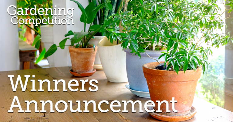 We have our winners for the Gardening Competition 2020 - The Stonewater ...